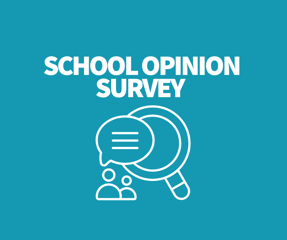 School Opinion Survey 2022